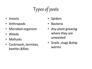 pest control.pptx