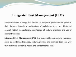 Pest Control.pptx