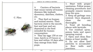 PEST CONTROL.pptx HOUSEKEEPING AND SERVICES | PPTX