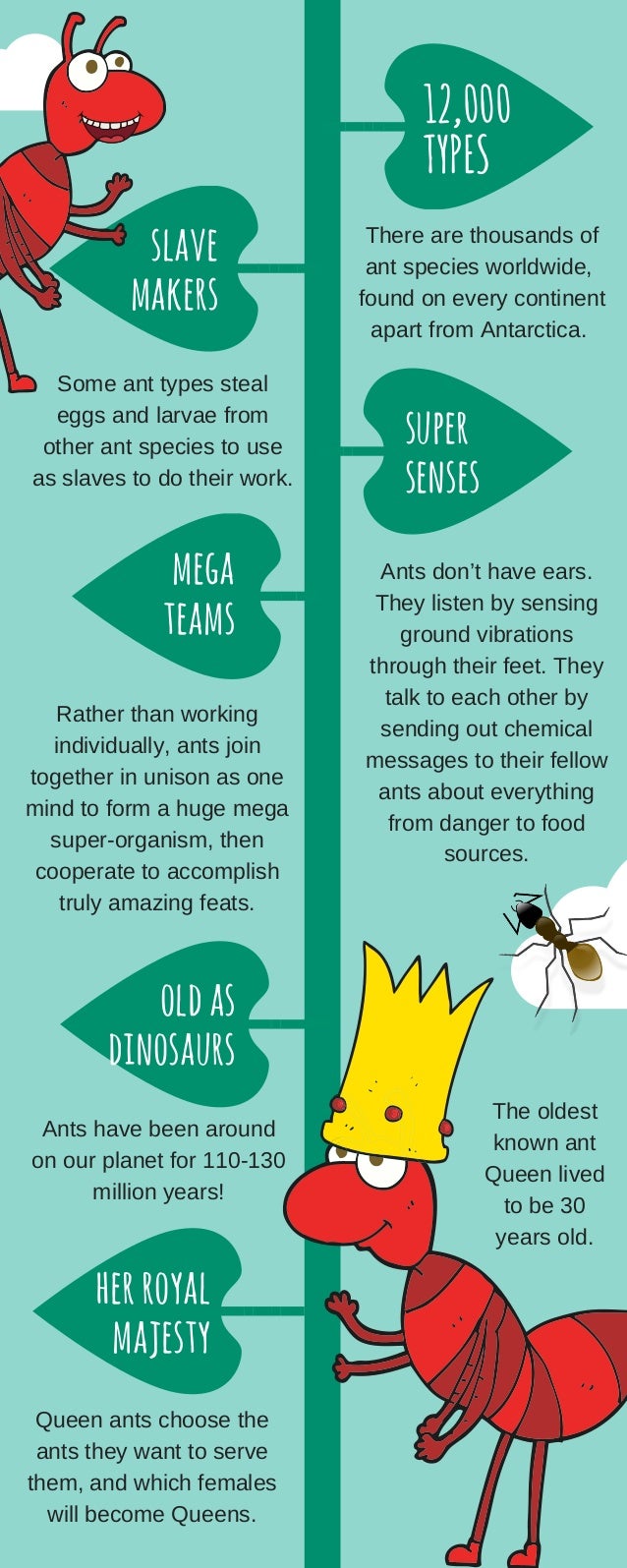 Ant Facts Infographic For Kids