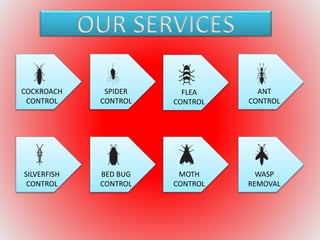 Pest Control 4 Sydney | PPT