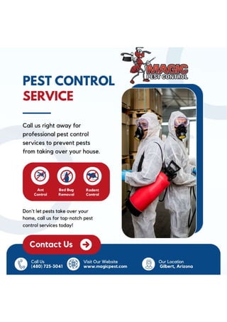 Premium Pest Control Services at Magic Pest Control in Gilbert, Queen ...