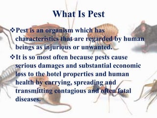 Pest control concept | PPTX