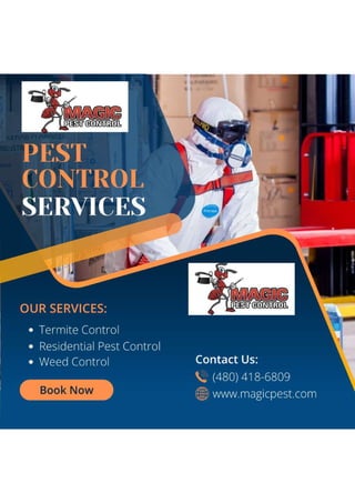 Defend Pest With Magic Pest Control in Gilbert, Phoenix, Queen Creek ...