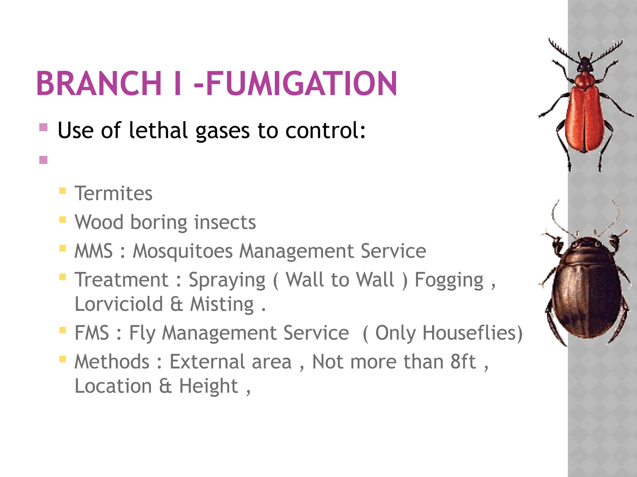 Pest Control Management, types of pest, Pest controlling .PPt