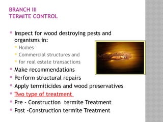 Pest Control Management, types of pest, Pest controlling .PPt