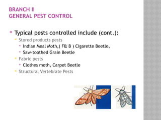 Pest Control Management, types of pest, Pest controlling .PPt