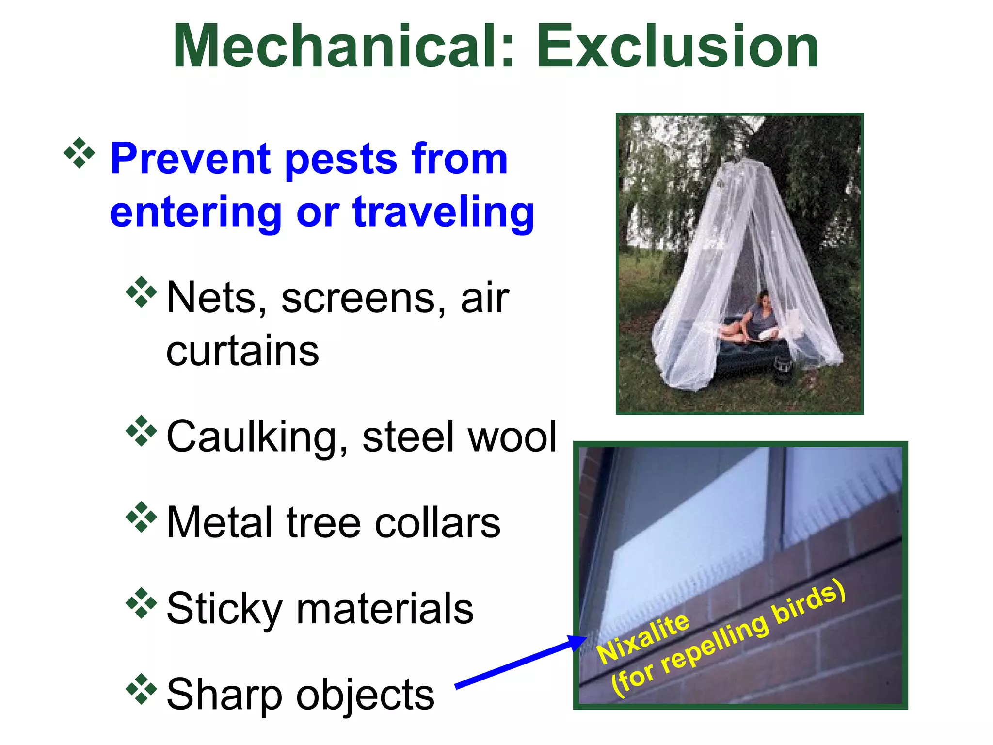 Pest control measures | PPT