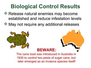 Pest control measures | PPT