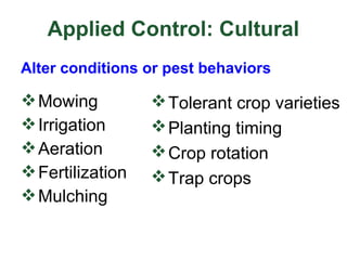 Pest control measures | PPT