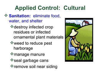 Pest control measures | PPT