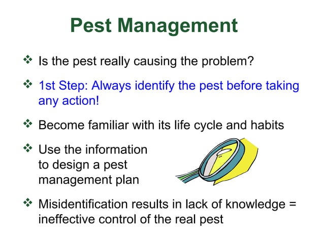 Pest control measures | PPT