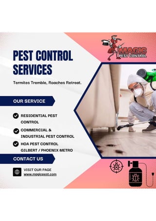 Protect Your Home With Magic Pest Control in Gilbert, Phoenix, Queen ...