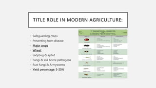 pest control process.pptx