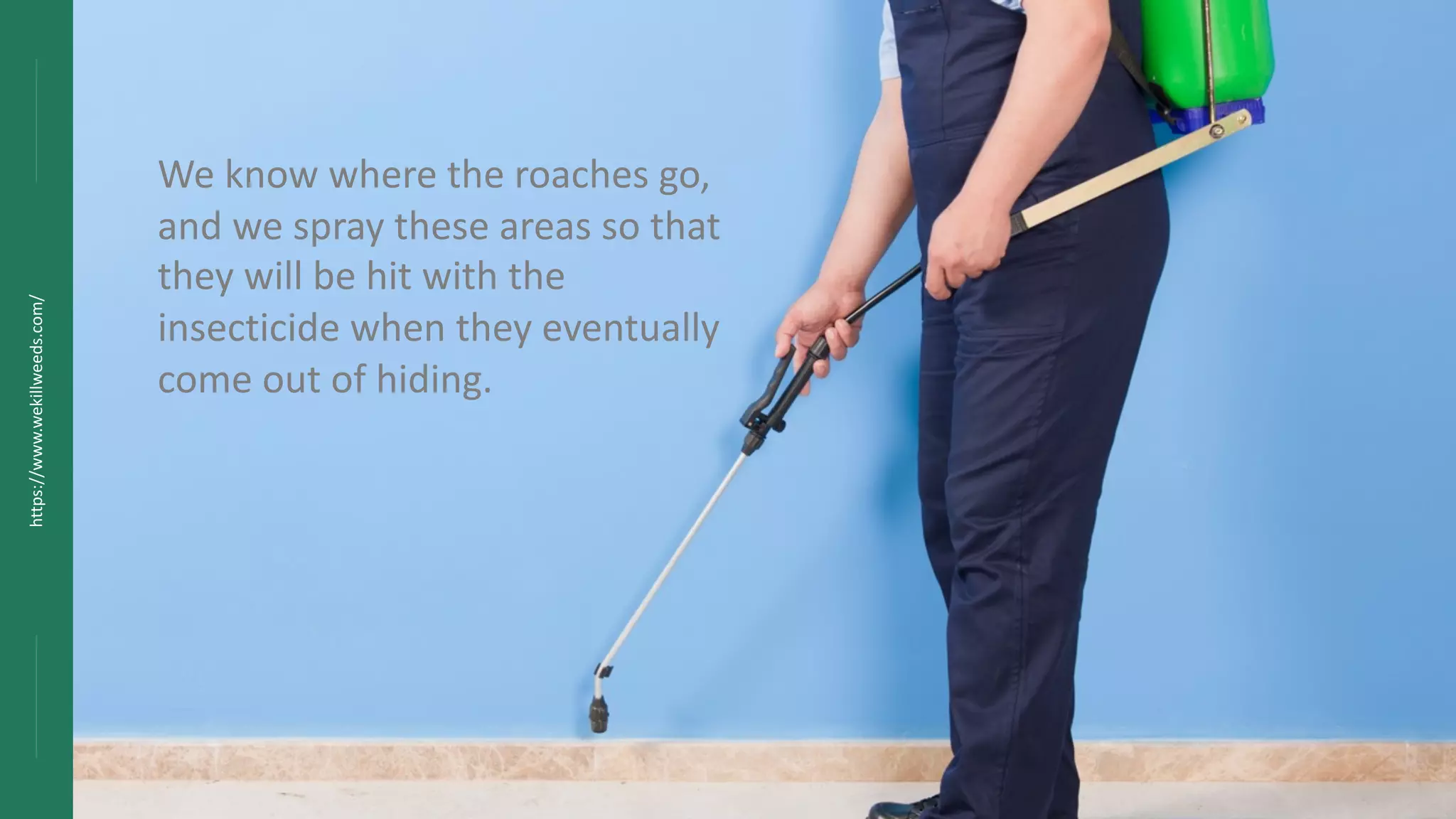 Pest Control Spraying for Cockroaches | PPT