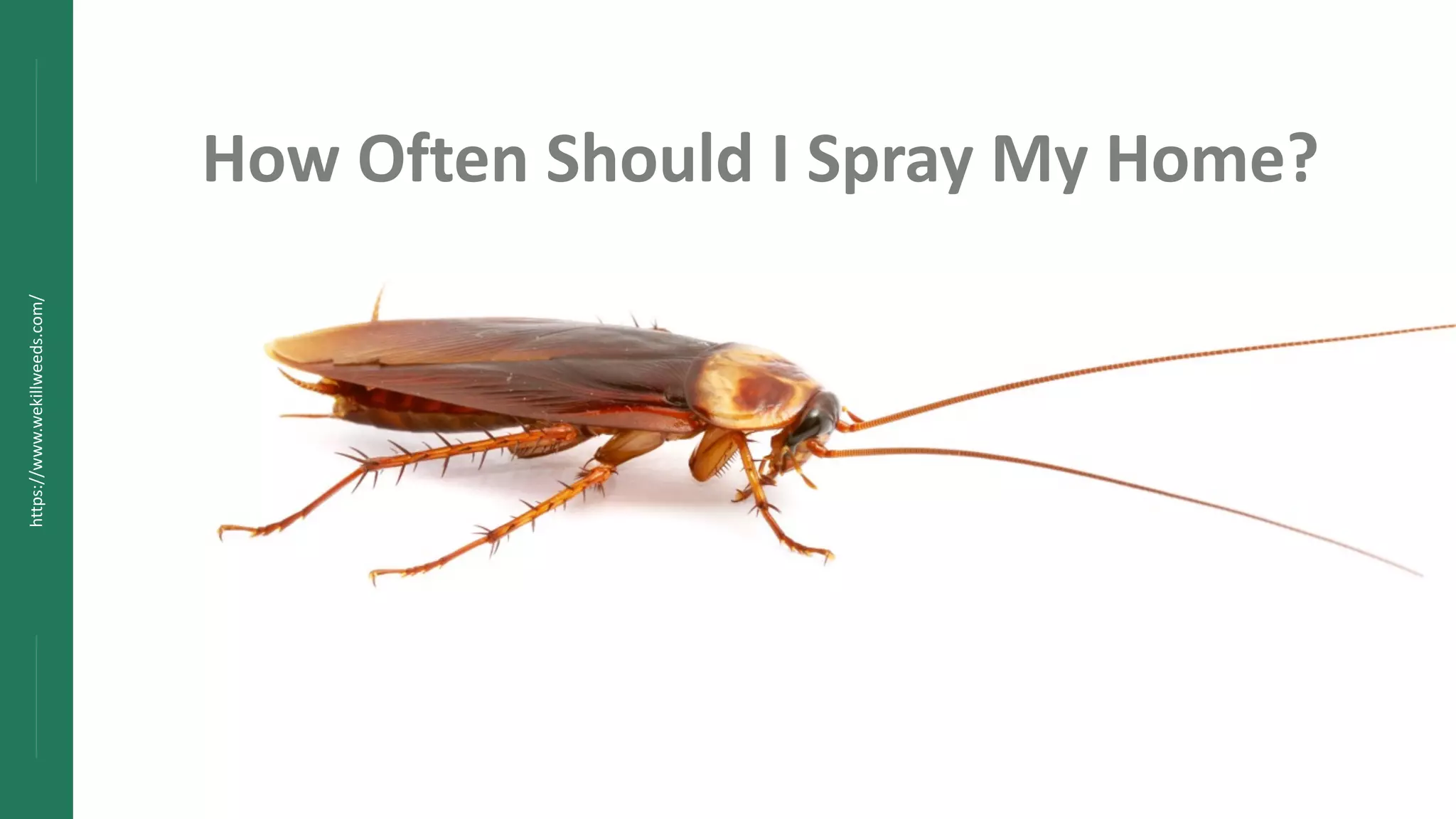 Pest Control Spraying for Cockroaches | PPT