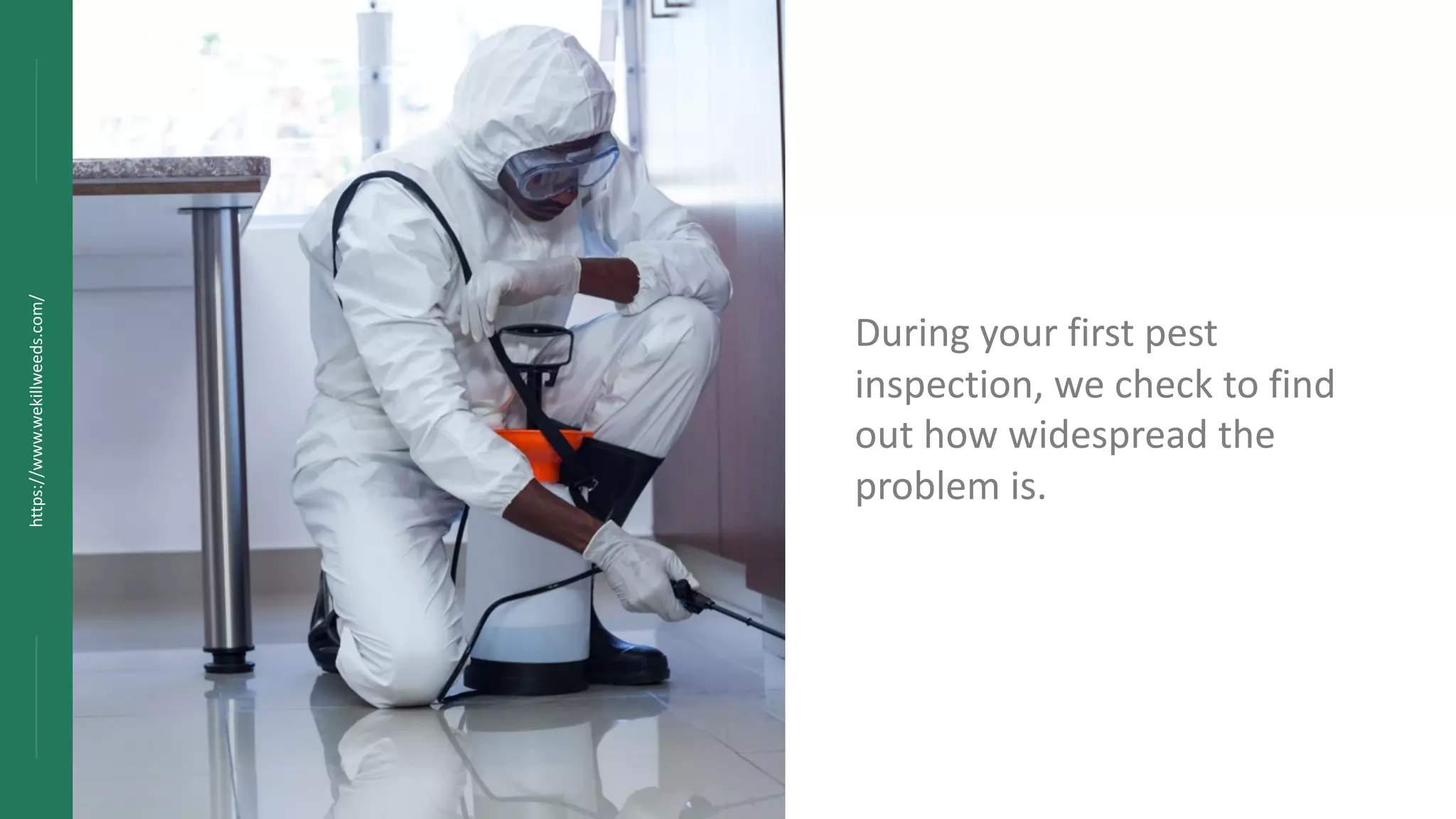 Pest Control Spraying for Cockroaches | PPT