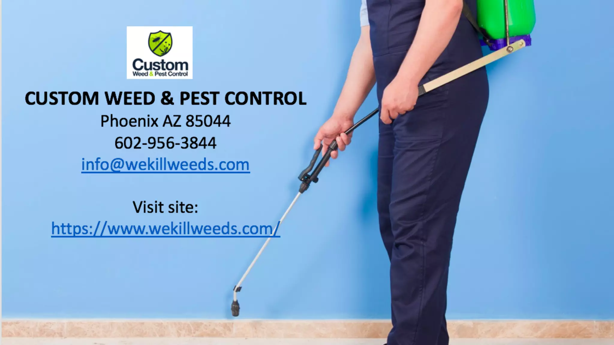 Pest Control Spraying for Cockroaches | PPT