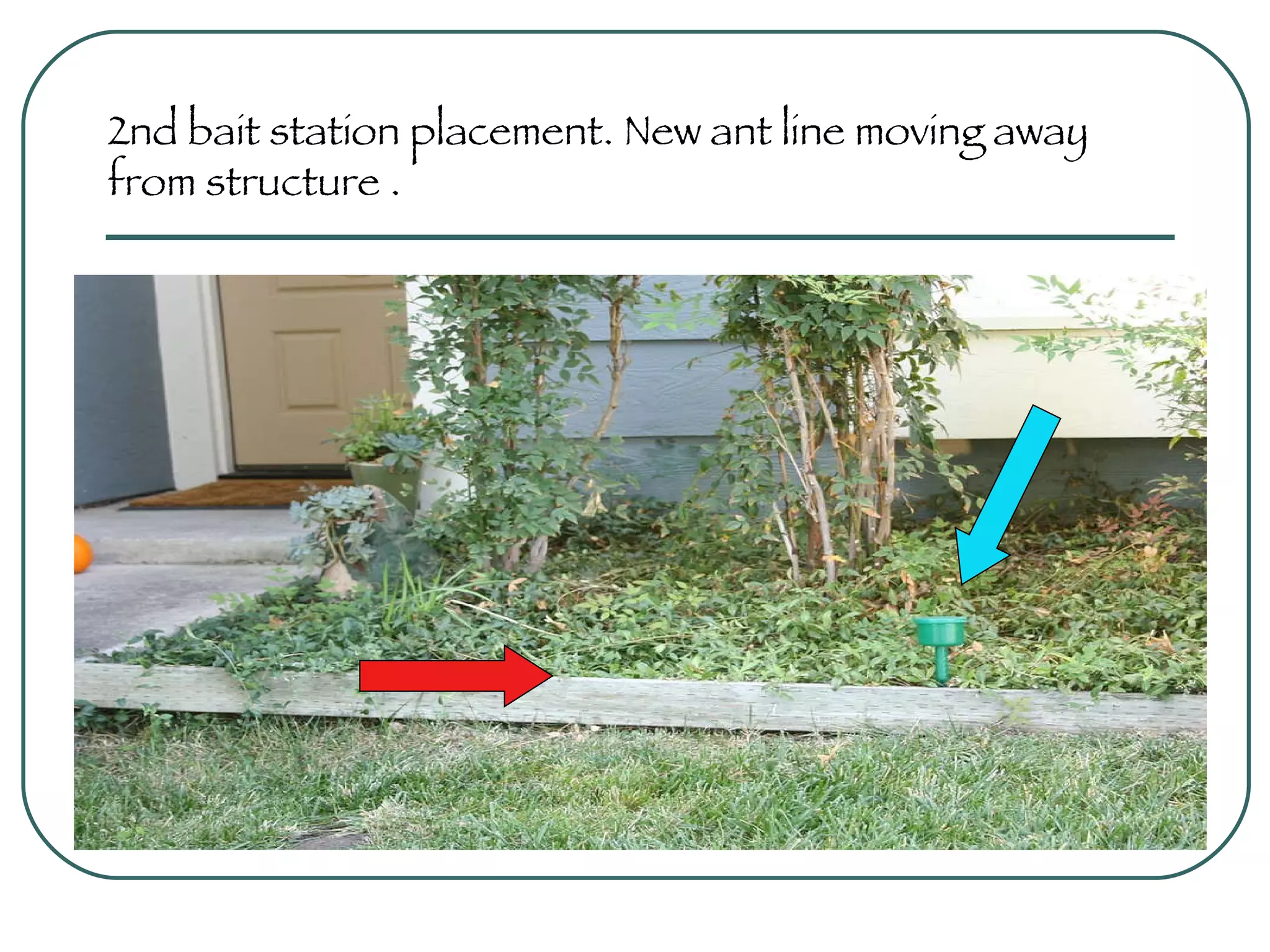 Pestec Ant baiting | PPT