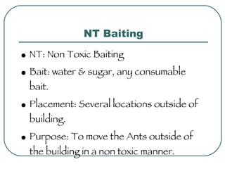 Pestec Ant baiting | PPT