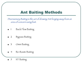 Pestec Ant baiting | PPT