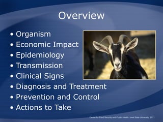 Health and diseases management and treatment and causes and symptoms | PPT