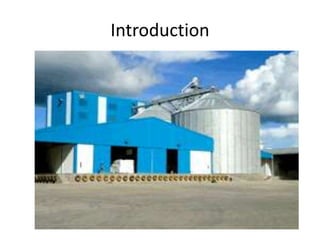 Pestel Analysis of Antelope Milling | PPTX