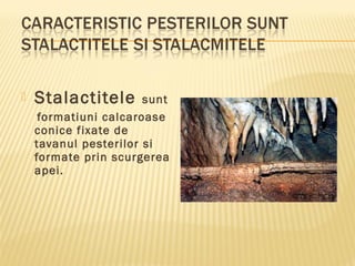 Pesterile | PPT
