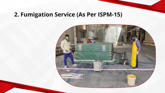 Pest Free Services Company Profile Pest Control & Fumigation Company | PPT