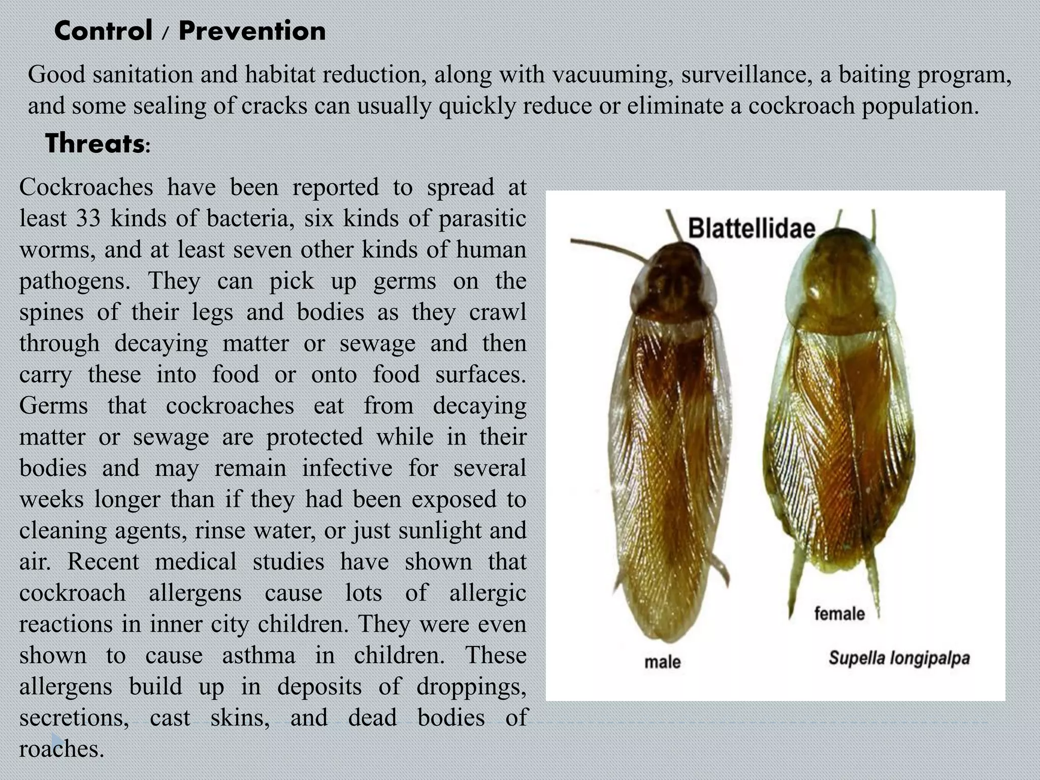 Pest guide :Roaches | PDF