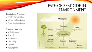 Fate of Pesticides in Environment | PPT