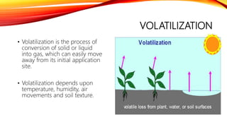 Fate of Pesticides in Environment | PPT