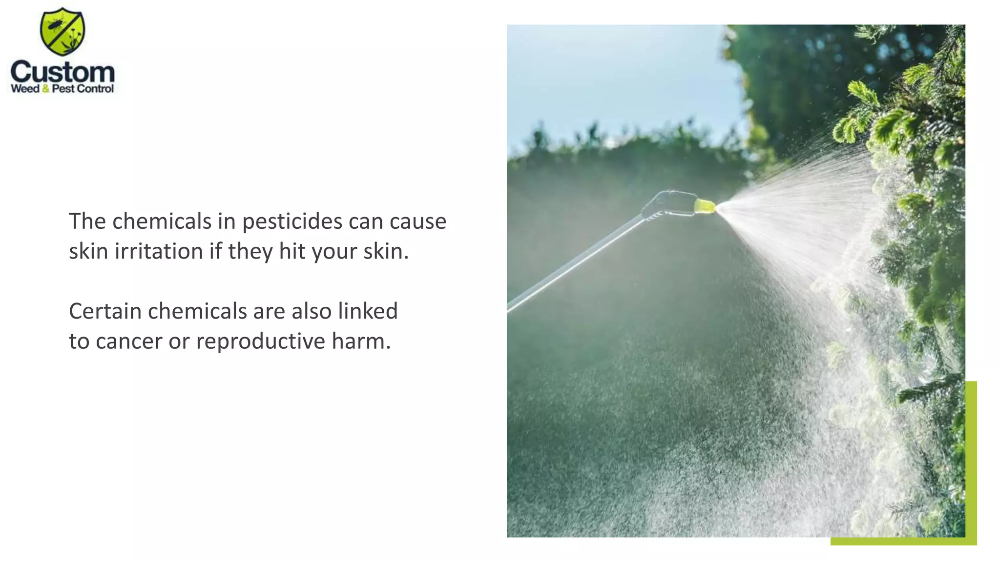Pesticide Safety Tips | PPT