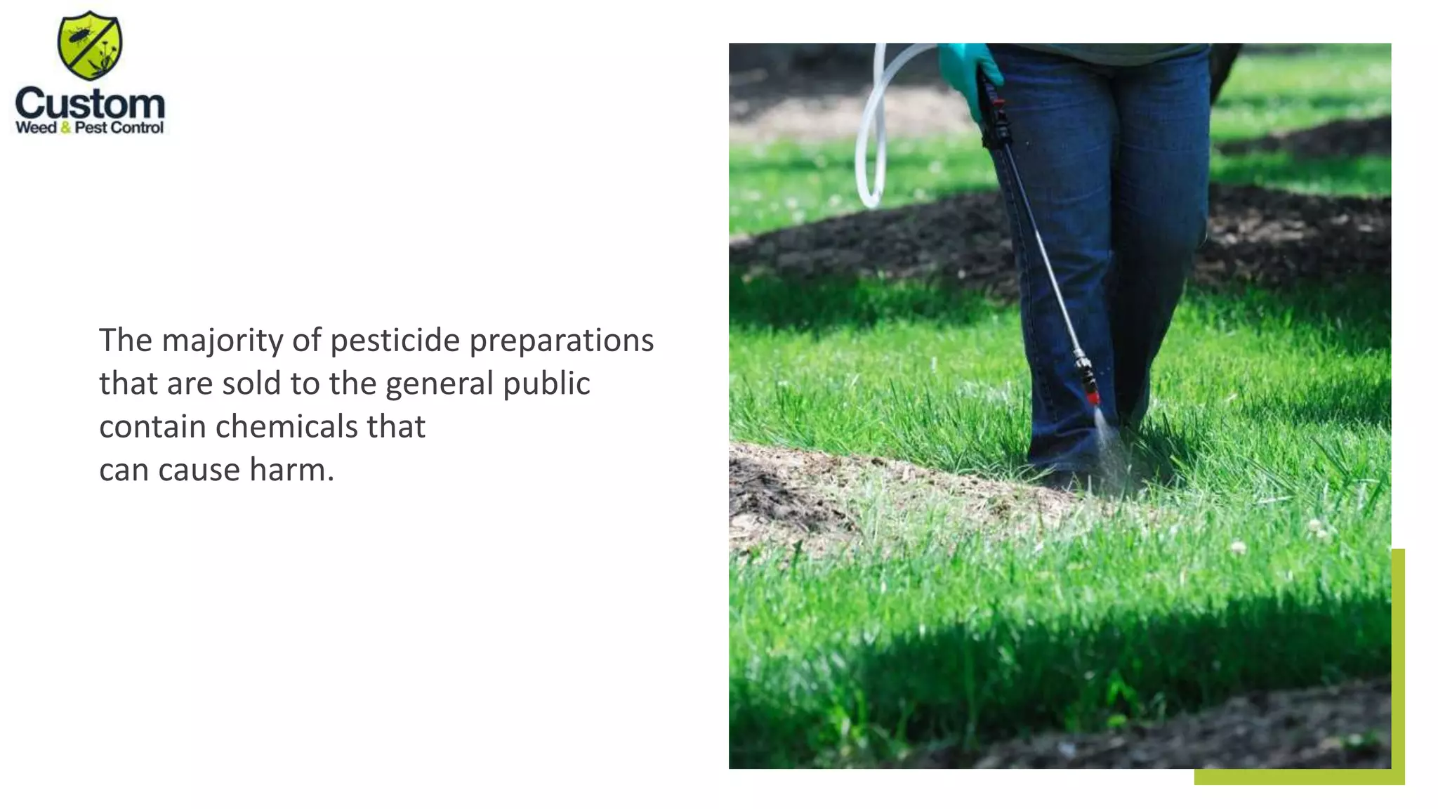 Pesticide Safety Tips | PPTX