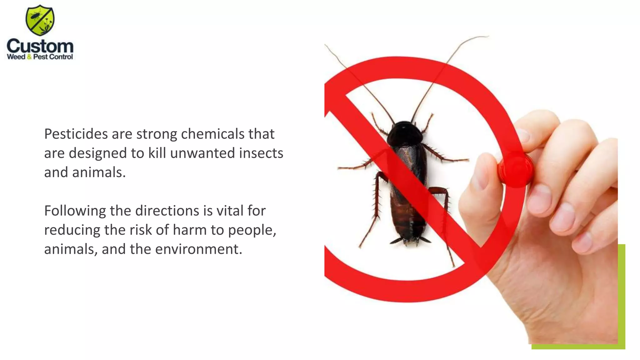 Pesticide Safety Tips | PPTX