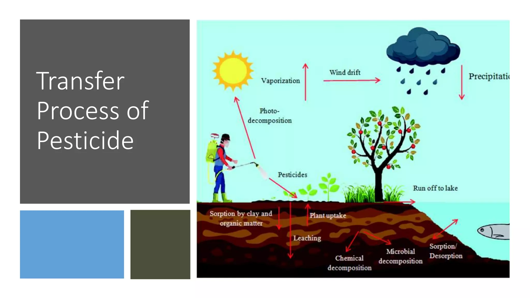 Pesticide analysis | PPTX