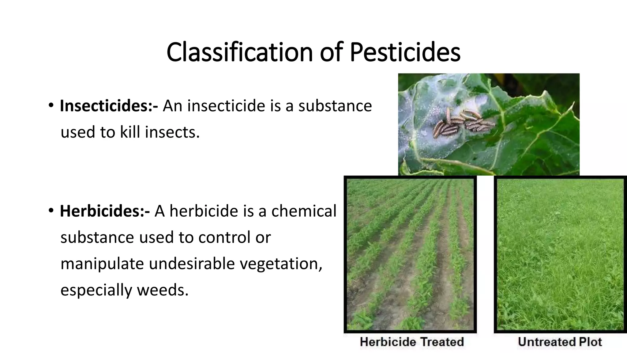 Pesticide Effects | PPTX