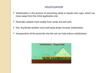 Pesticide cycle | PPTX