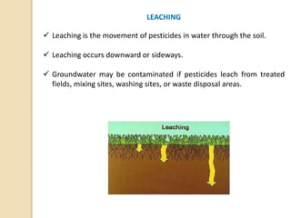 Pesticide cycle | PPTX