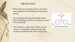 Pesticide (DDT) and Herbicide (2,4D).pdf