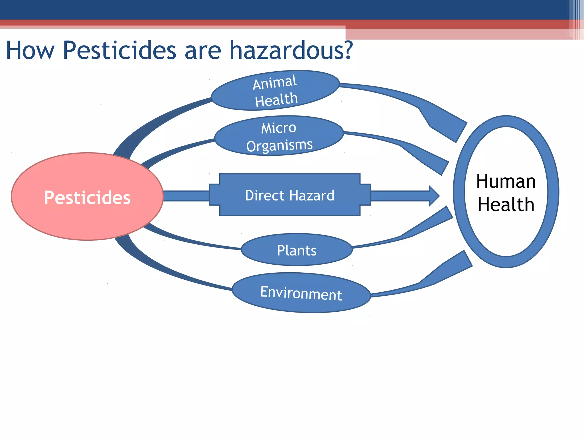 Pesticide & Health hazards in Bangladesh | PPT