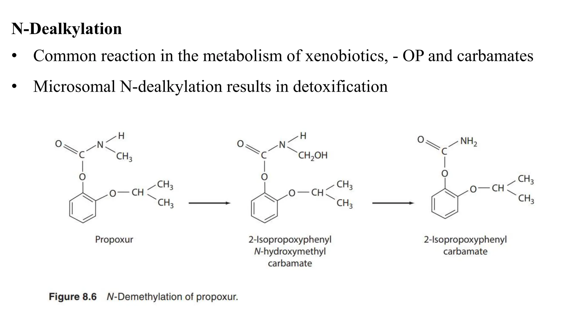 Insecticide metabolism: Phases and examples | PPTX
