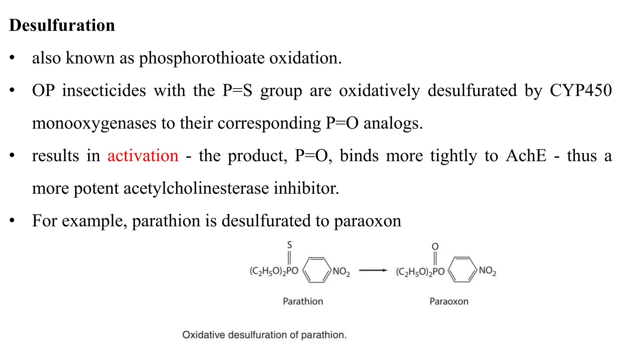 Insecticide metabolism: Phases and examples | PPTX