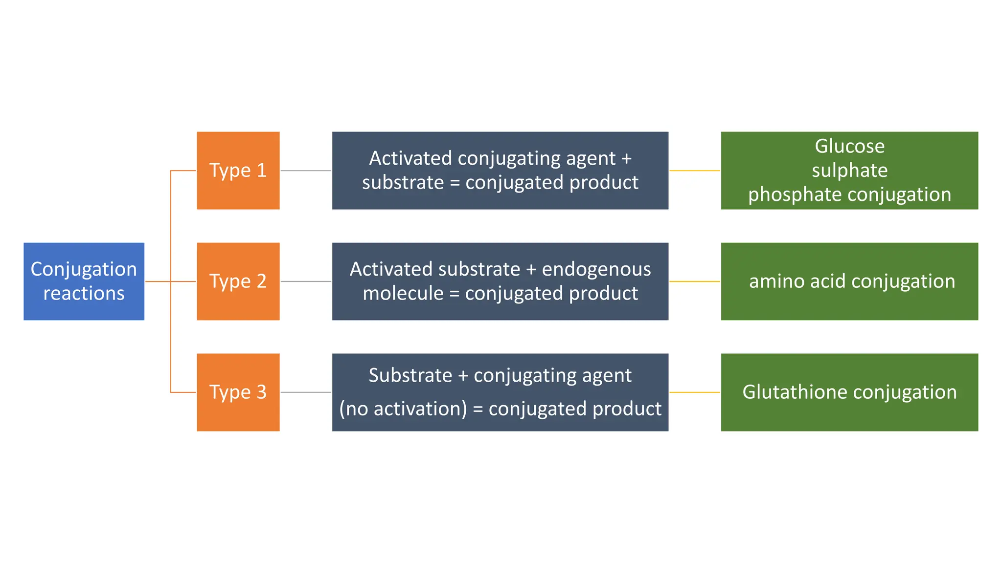 Insecticide metabolism: Phases and examples | PPTX