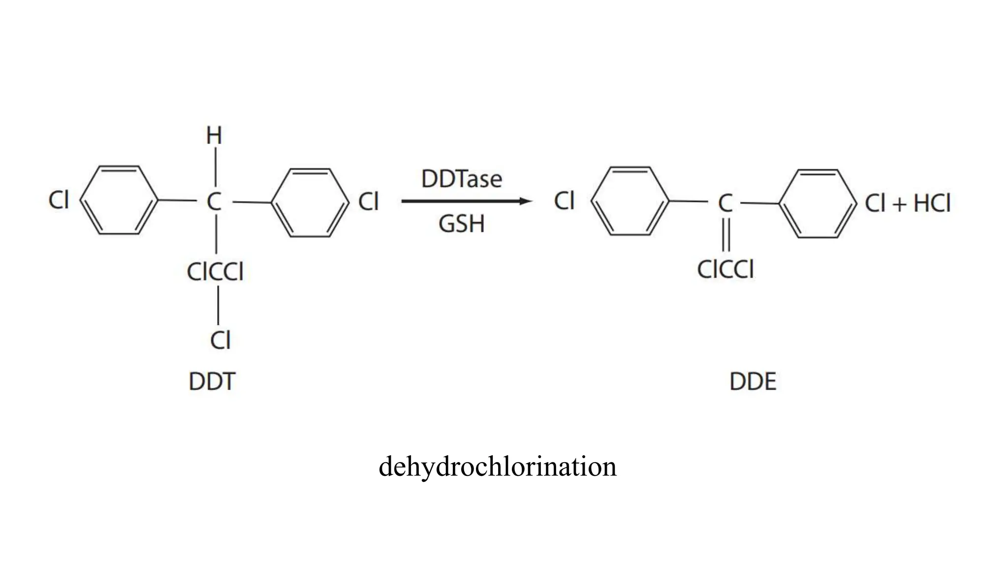 Insecticide metabolism: Phases and examples | PPTX