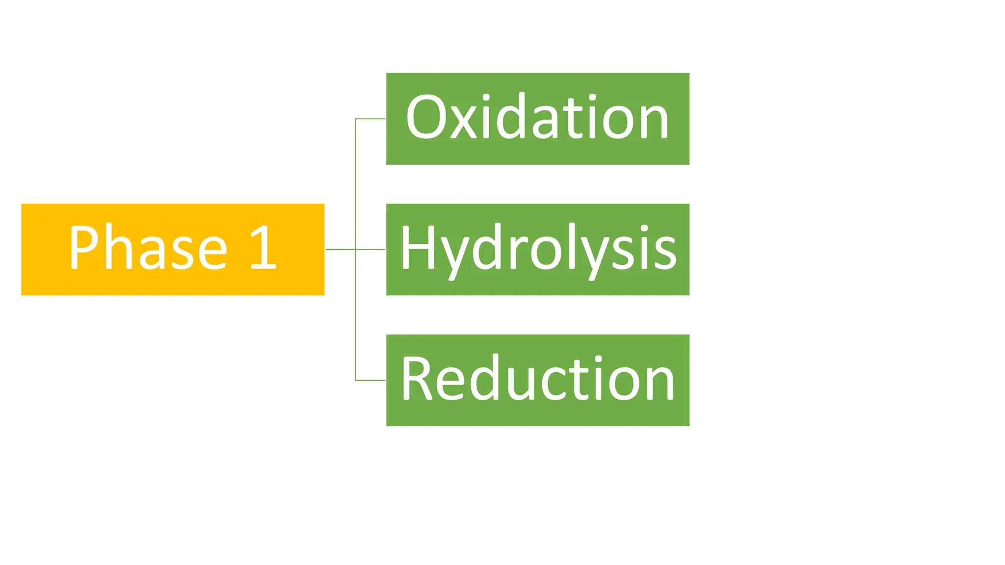 Insecticide metabolism: Phases and examples | PPTX