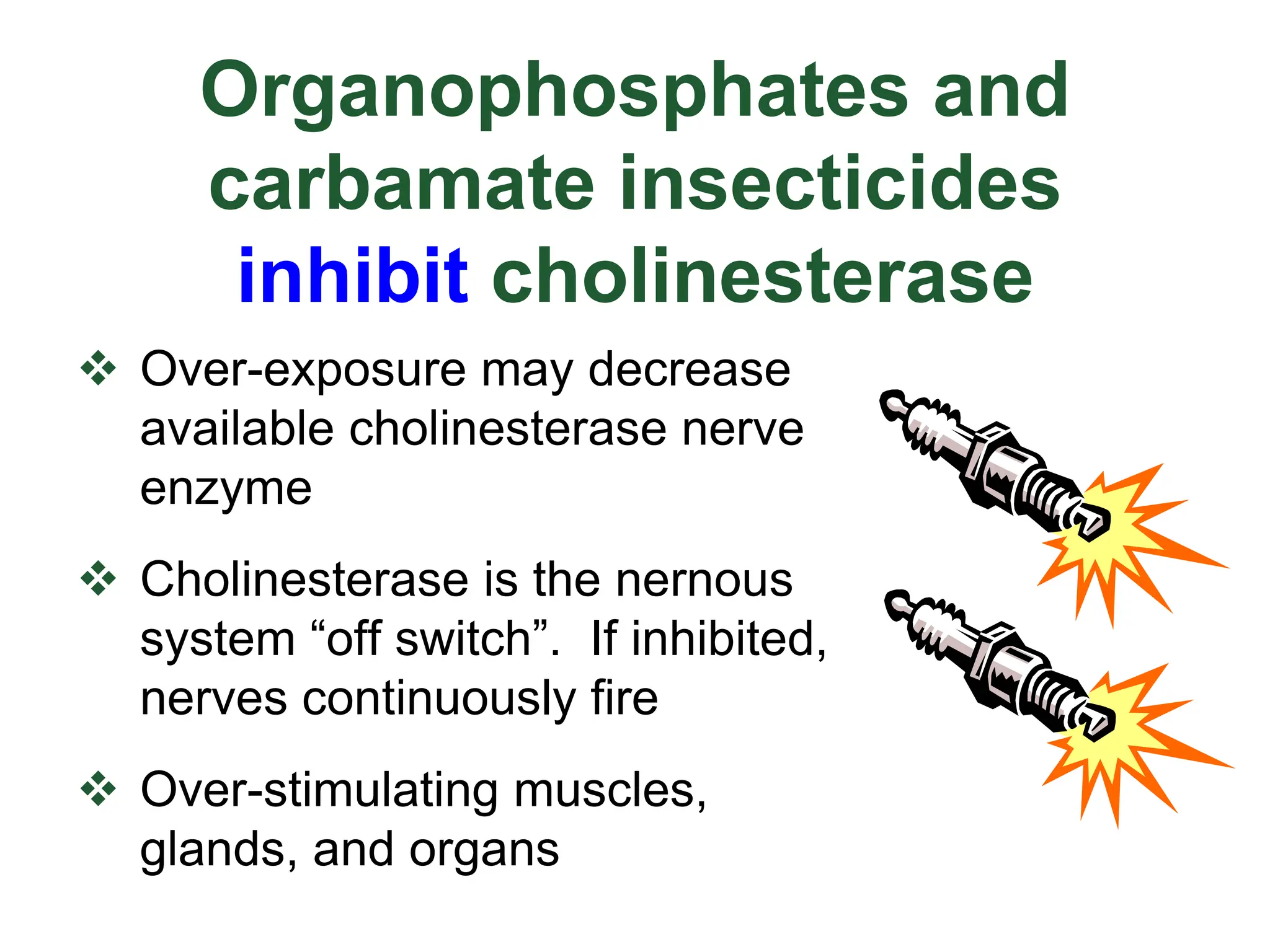 Pesticide Poisoning & First Aid.powerpoint | PPT
