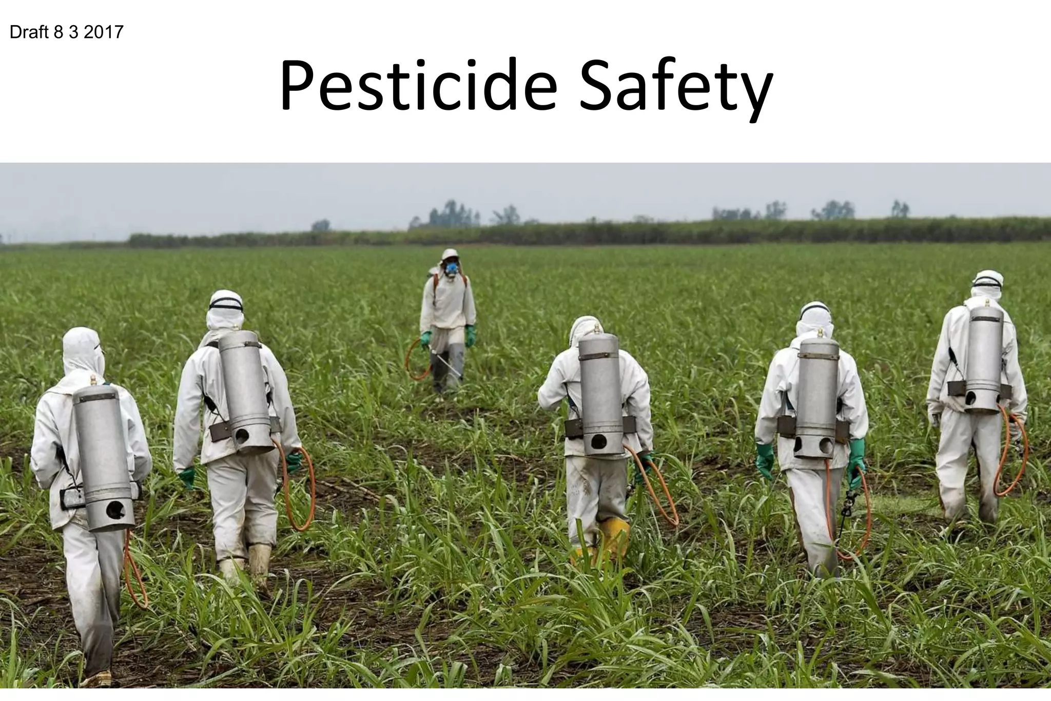 Pesticide safety | PPTX
