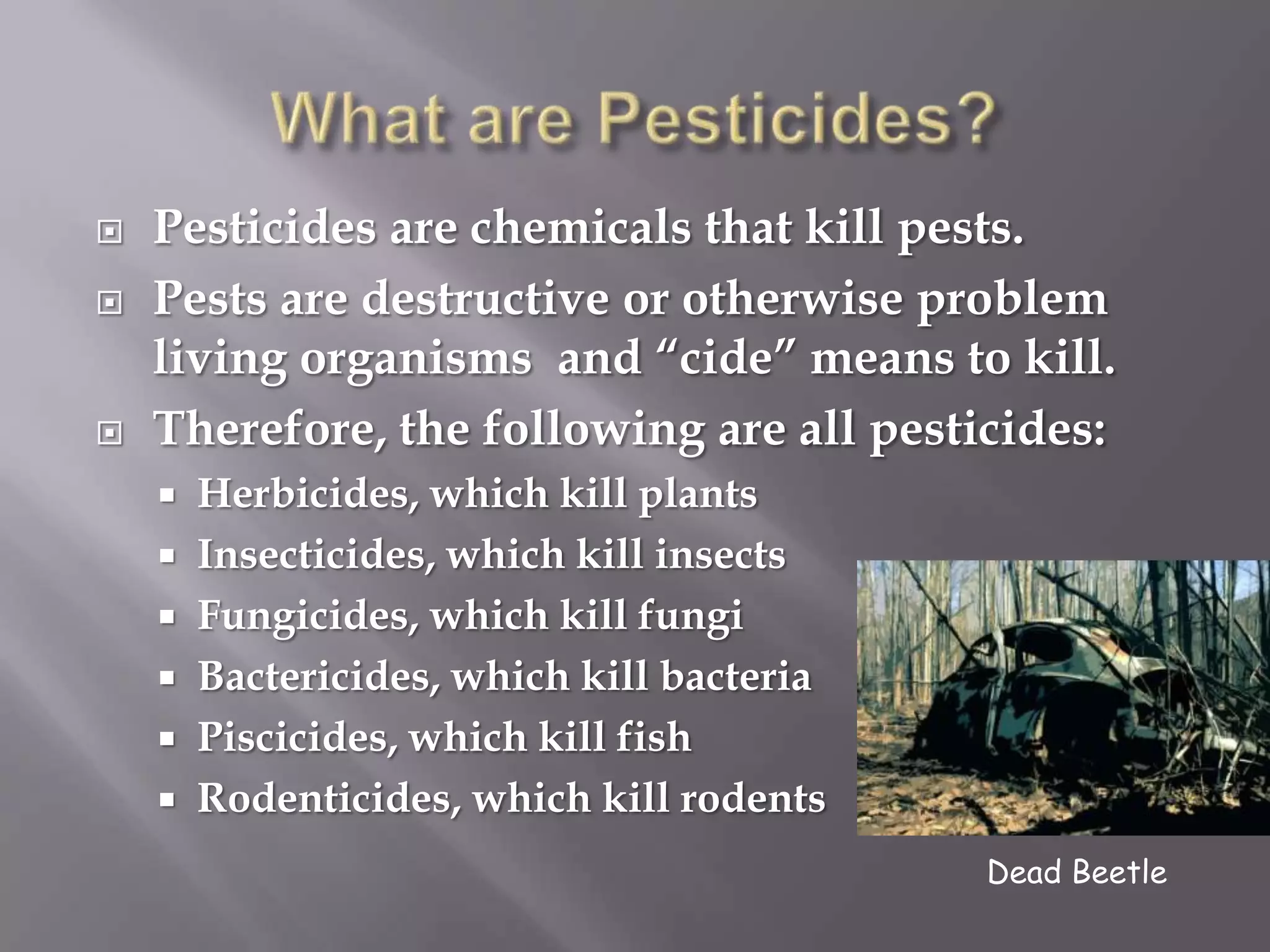 Pesticides: Safety, Handling, Application | PPTX