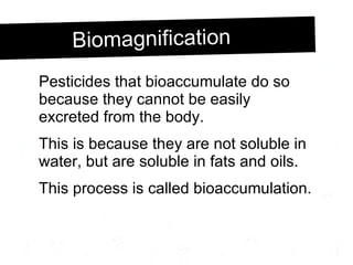 Bioaccumulation Pesticides